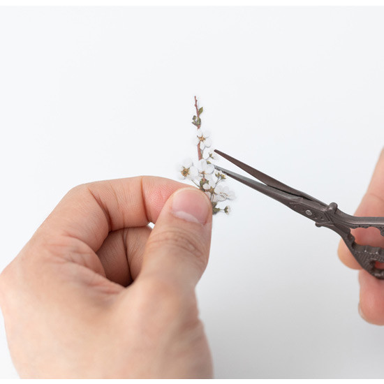 Appree Bridal wreath press flower deco sticker | Papercrafts