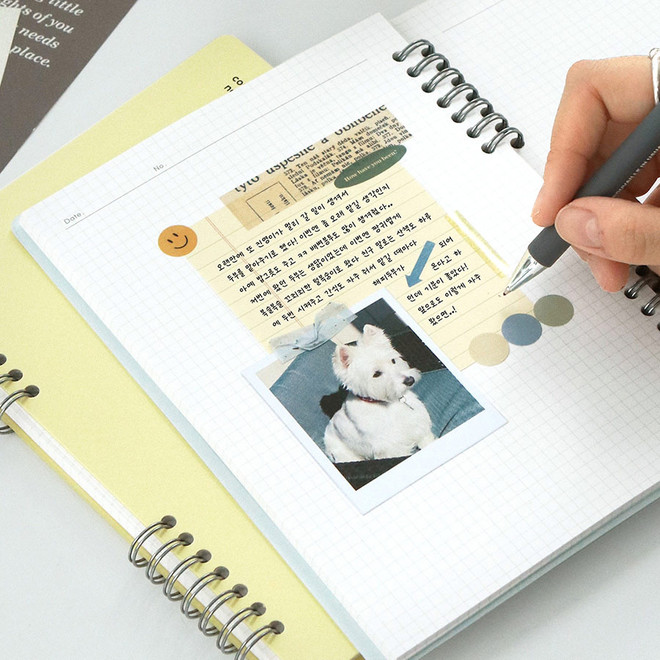 ICONIC Compact A5 Twin Wire Grid Notebook