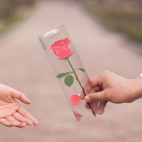 Appree Red rose sticky memo notes - fallindesign