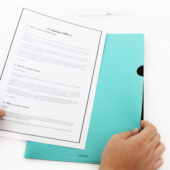 Fenice Premium business A4 document file holder - fallindesign