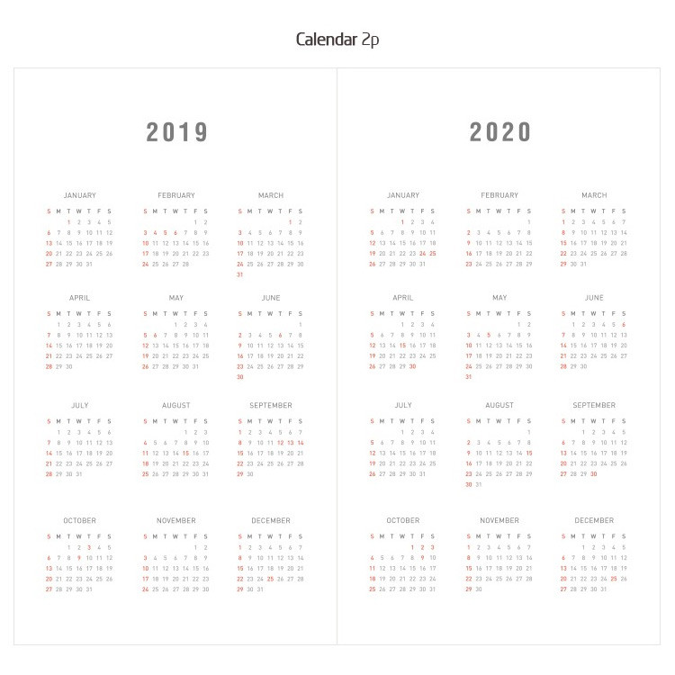 Dailylike 2019 Daily log small dated monthly diary notebook