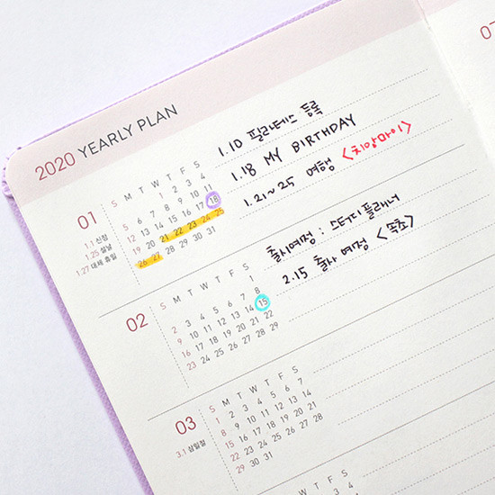 Indigo 2020 Prism slim dated monthly planner notebook