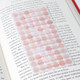 Appree Pink Gradation 4AM Circle Paper Sticker 6 Sheets
