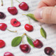 Appree Apple Cherry clear Sticker - fallindesign.com