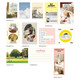 O-check Ordinary Day Sticker Pack Of 30 Sheets