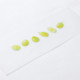 Appree Green Grape Fruit Clear Sticker - fallindesign.com