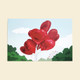 DALPAPER Scenery Paper Card Korean Stationery Greeting Card