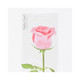 Appree Red rose sticky memo notes - fallindesign