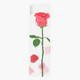 Appree Red rose sticky memo notes - fallindesign