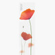Appree Red poppy sticky memo notes - fallindesign