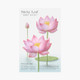 Appree Lotus medium sticky memo notes - Fallindesign.com