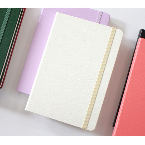 Indigo 2020 Prism dated monthly planner notebook diary