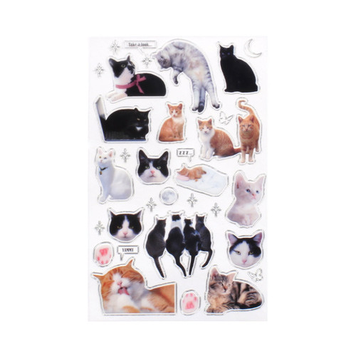 After The Rain Silver line street cat club deco sticker