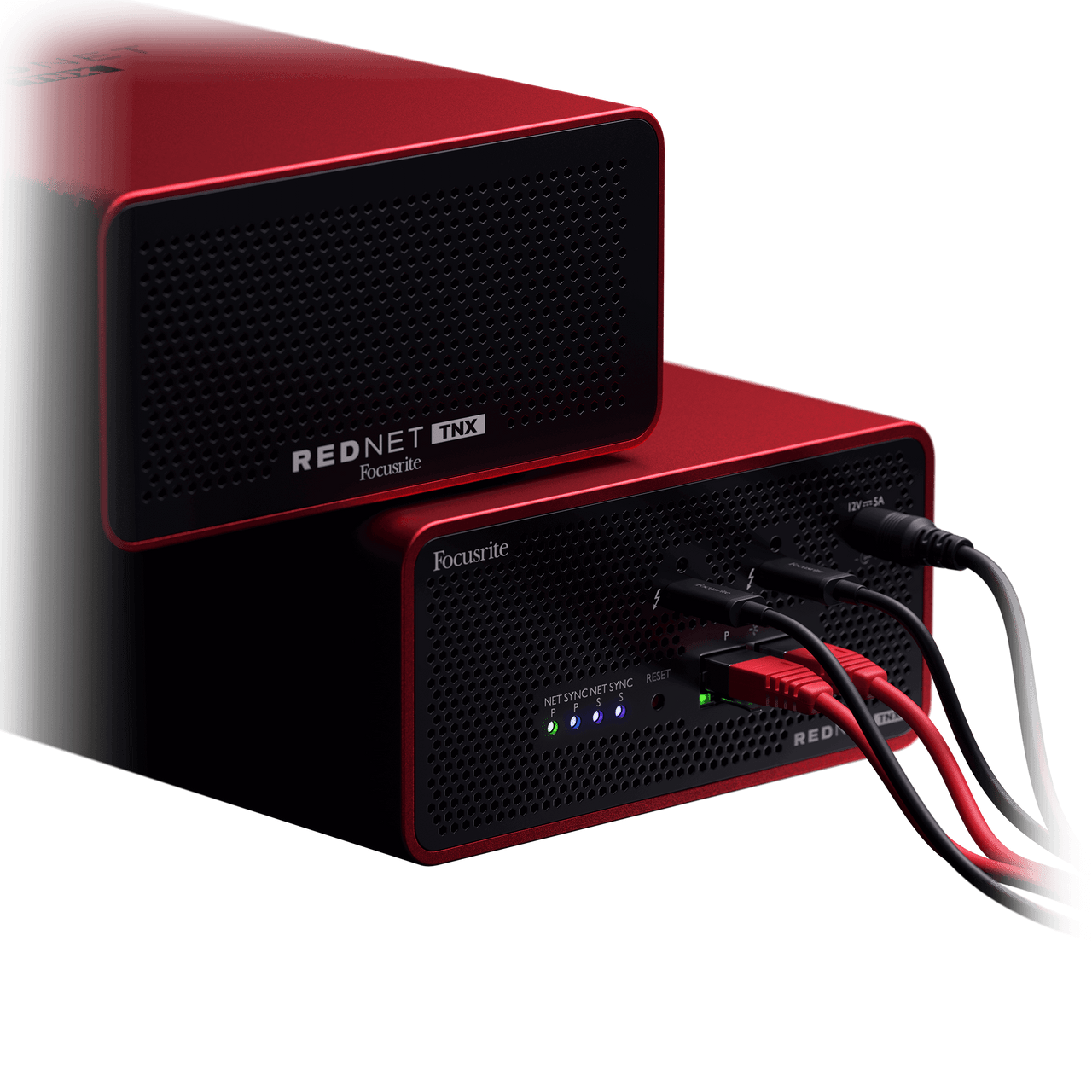 RedNet TNX | Focusrite