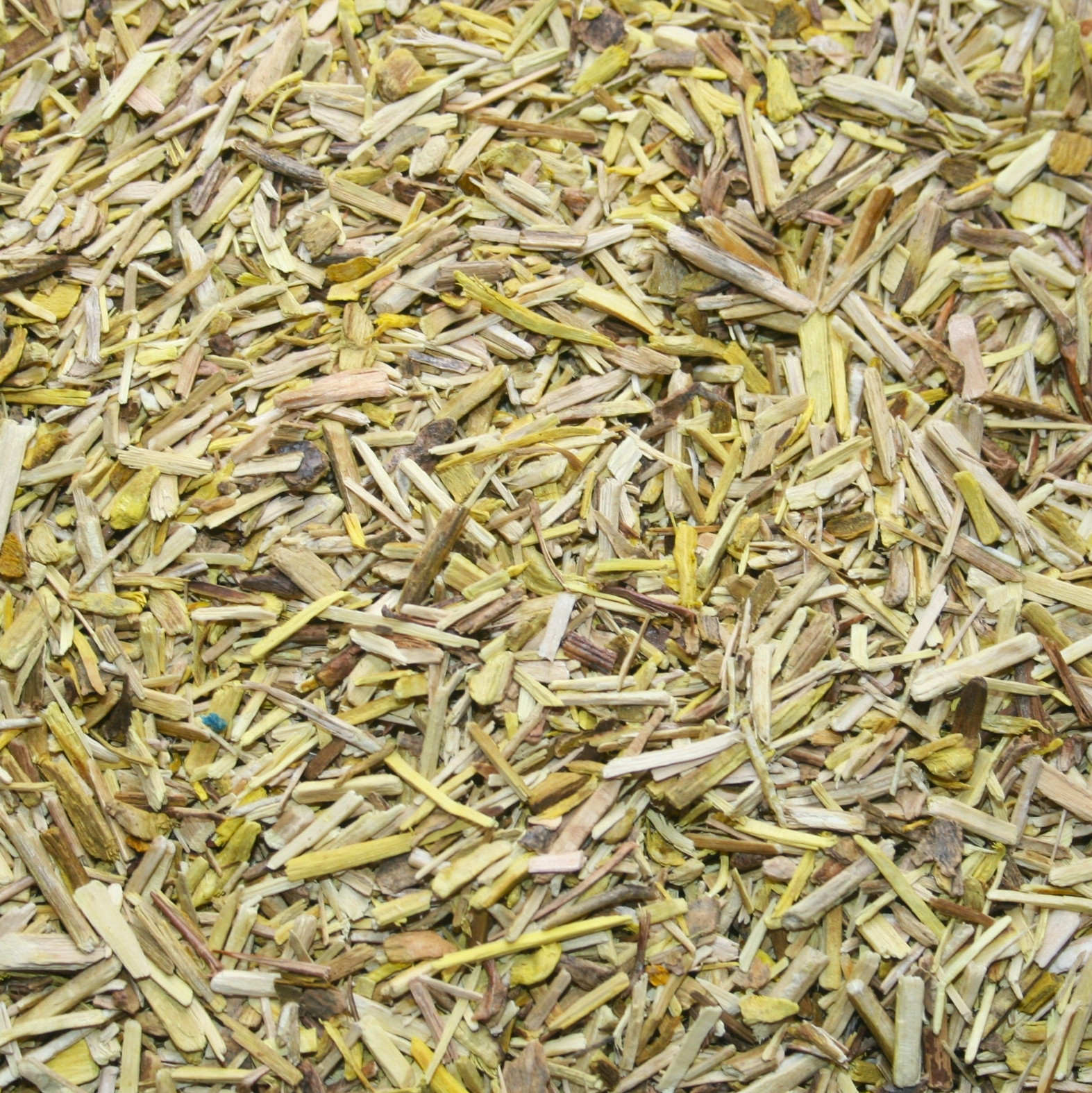 Barberry Root Bark - Savvy Teas and Herbs