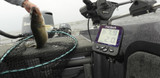 Salmon Fishing: Determine Fishing Speed and Water Temperature with Fish ...