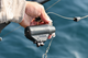 Fish Hawk Lithium Ultra Probe - Fish Hawk Electronics
