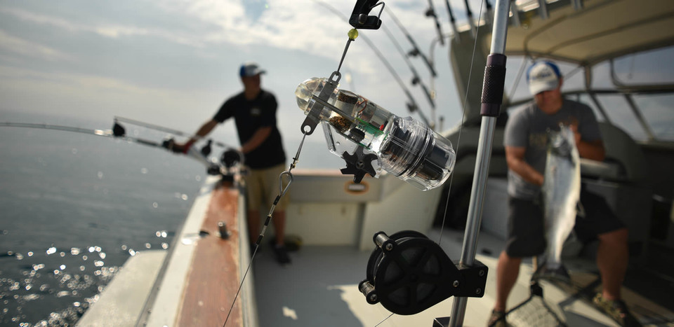 Salmon Fishing: Determine Fishing Speed and Water Temperature with Fish ...