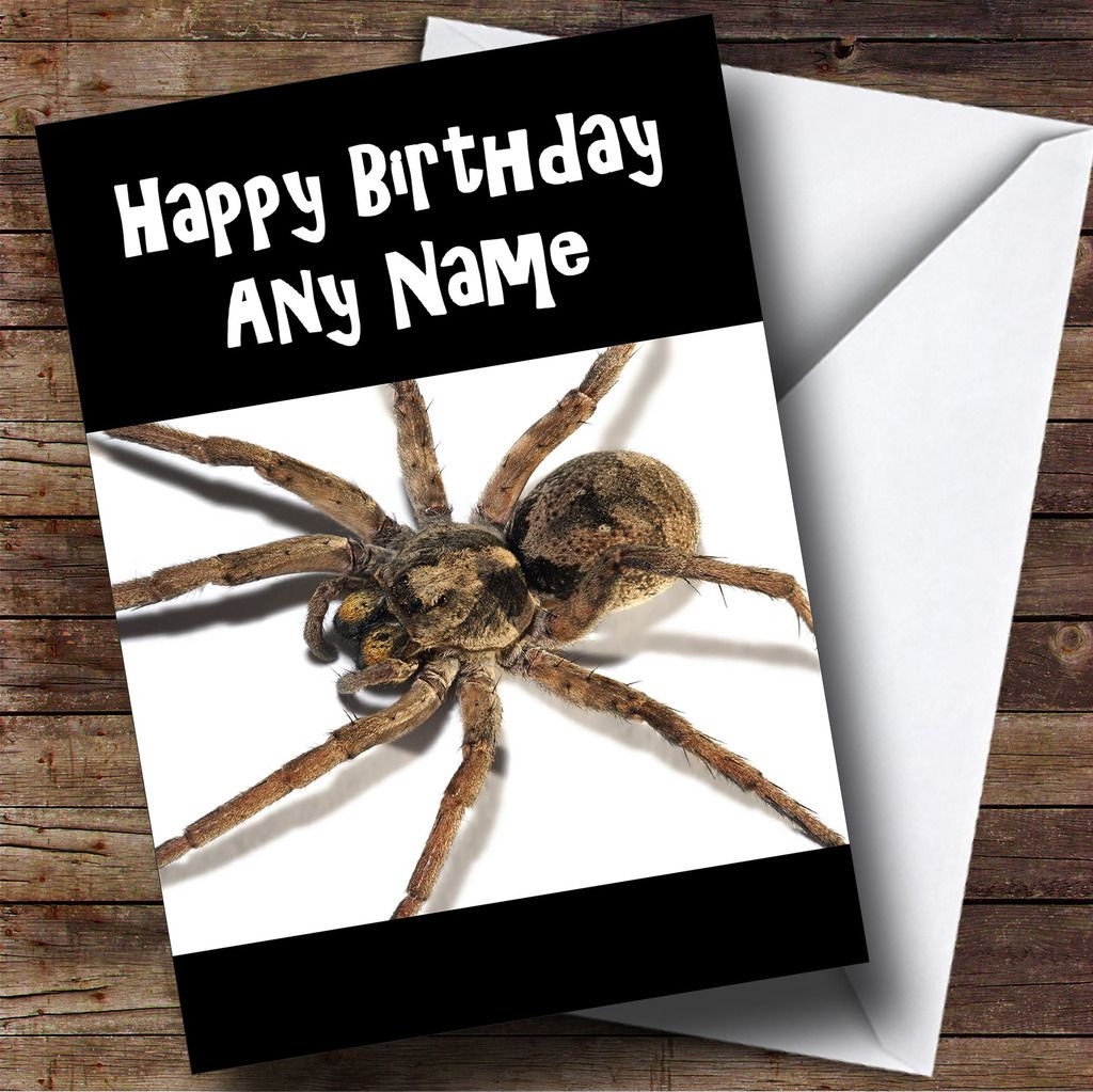 Spider Personalised Birthday Card - The Card Zoo