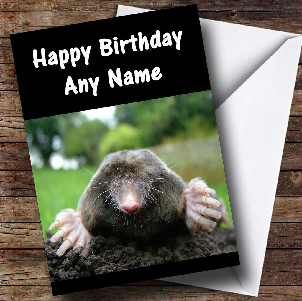 Funny Queen Nose Pick Personalised Birthday Card - The Card Zoo