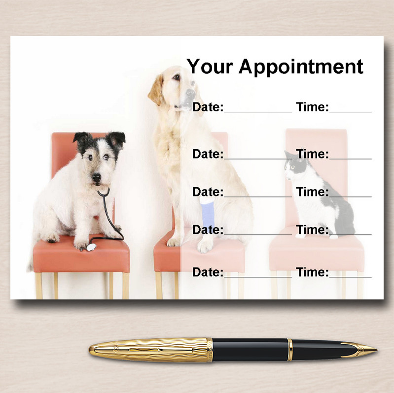 Vet Veterinary Personalised Business Appointment Cards - The Card Zoo