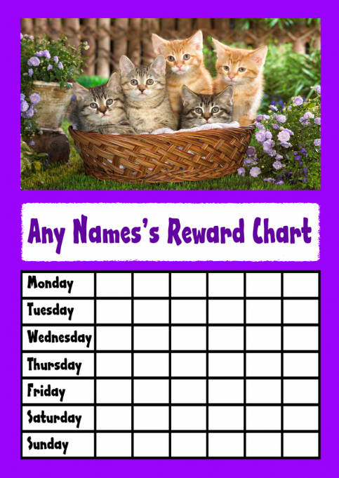 Cats In A Basket Star Sticker Reward Chart - The Card Zoo