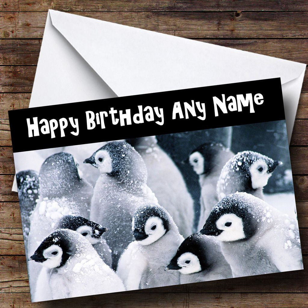 Penguins Personalised Birthday Card - The Card Zoo