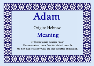 Adam Personalised Name Meaning Certificate - The Card Zoo