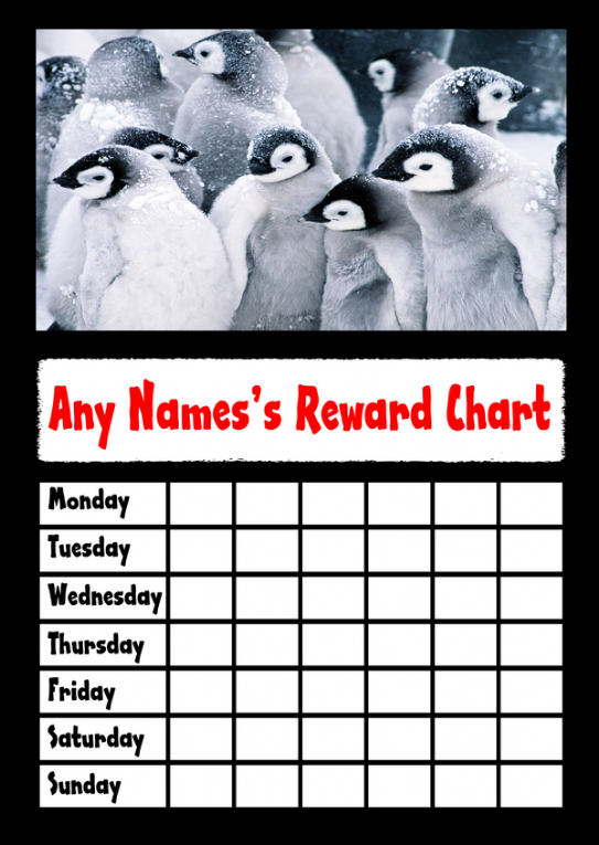 Purple Penguins Star Sticker Reward Chart - The Card Zoo