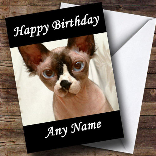 Sphynx Cat Personalised Birthday Card - The Card Zoo