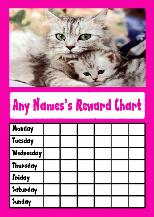 Cute Pink Kittens Star Sticker Reward Chart - The Card Zoo