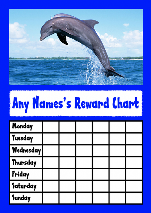 Dolphin Star Sticker Reward Chart - The Card Zoo