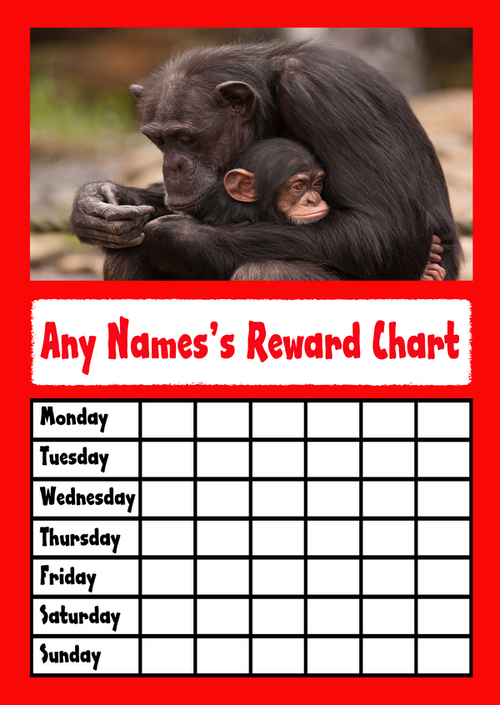 Red Monkeys Star Sticker Reward Chart - The Card Zoo