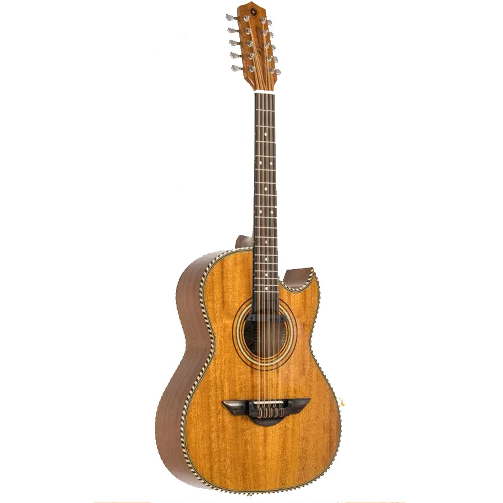 H. Jimenez El Estandar LBQ1ENM 10 String Bajo Quinto Acoustic Electric ...