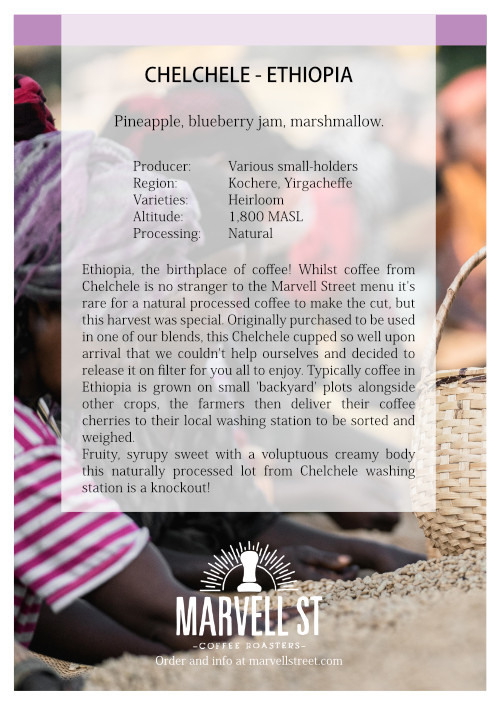 Chelchele - Ethiopia 2022 - Marvell Street Coffee | Byron Bay | Australia