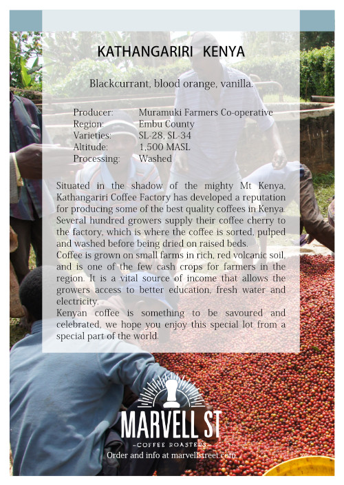 Kathangariri - Kenyan specialty coffee