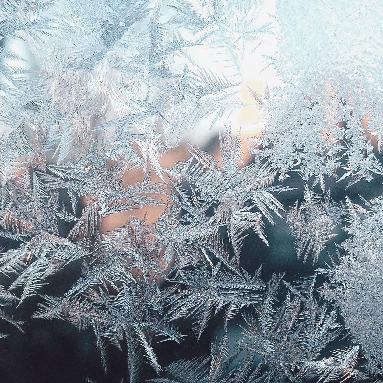 Big frost brews big trouble in Brazil - Marvell Street Coffee | Byron ...