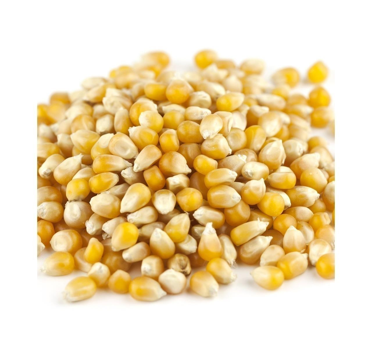 Yellow Popcorn 50lb
