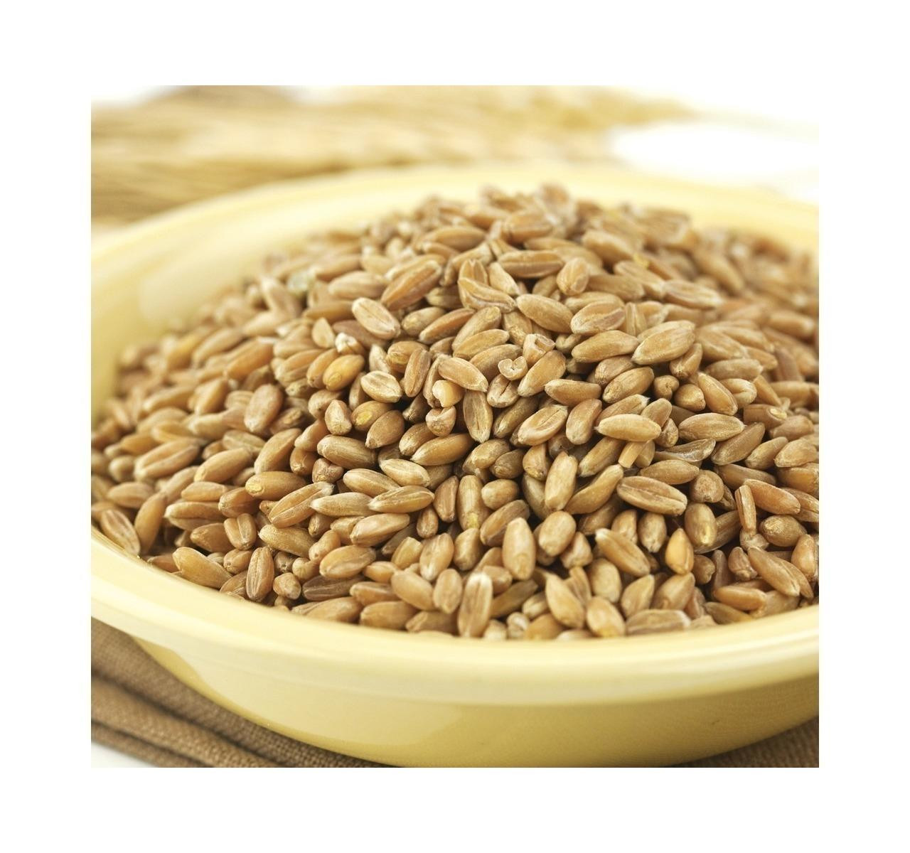 Spelt Berries 50lb