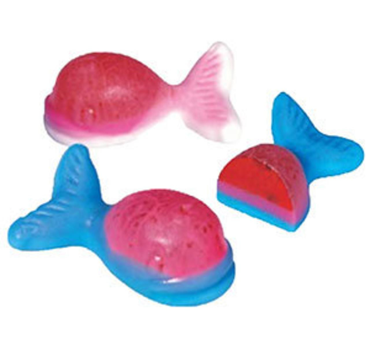 Gummi Whales 12/2lb