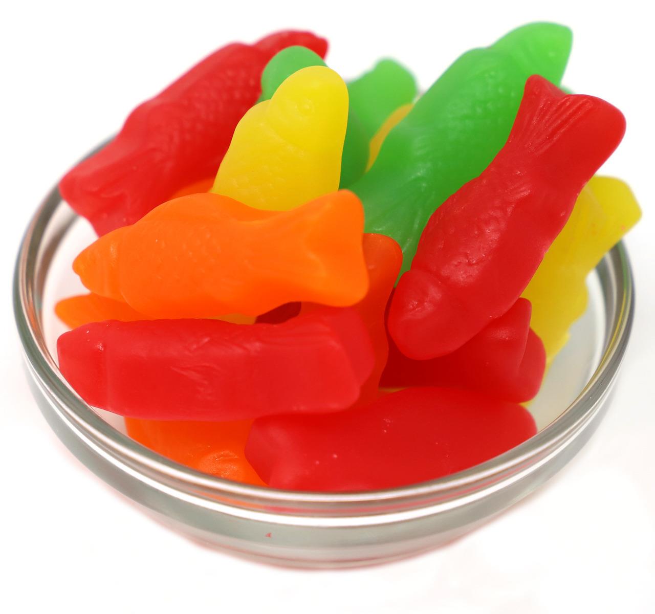 Assorted Juju Fish 31lb