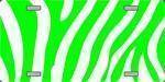 Buy Zebra Print Blank