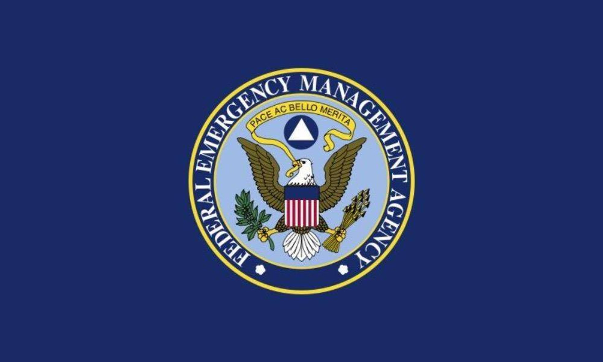 Federal Emergency Management Agency FEMA Flag Made In USA FEMA federal-emergency-management-agency-fema-flag-made-in-usa-fema