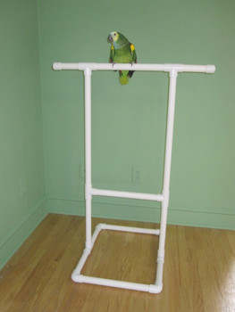 TRAINING STAND - Bird Toys Etc
