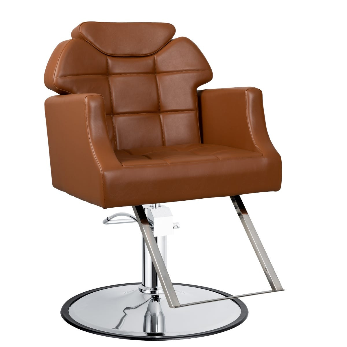 Modern Salon Chair