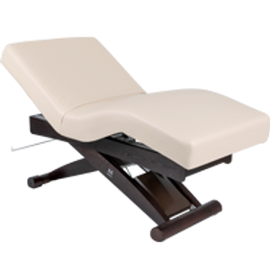 Professional Massage Tables: Portable, Electric & Stationary | Minerva ...
