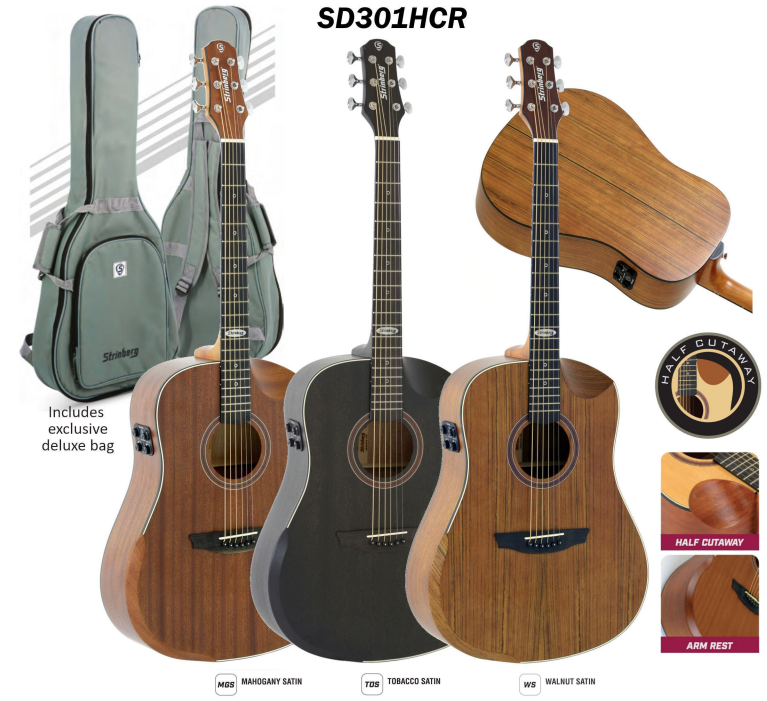 Strinberg SD-301 Galaxy Series Acoustic Electric Guitar Pack w/ Deluxe ...