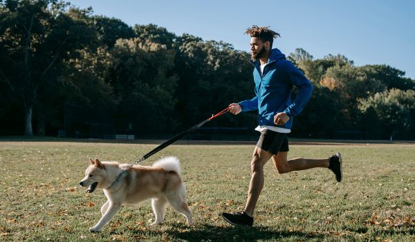 Essential Amino Acids for Dogs: Why They Matter and How to Get Them ...