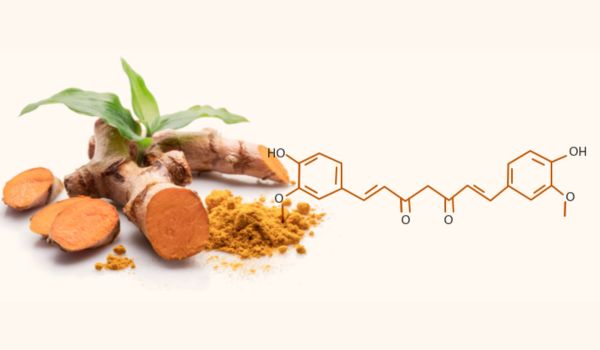 Biohacking for Dogs: A Science-Based Guide to Enhancing Health - Pet Matrx