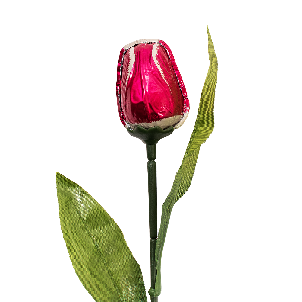 Chocolate Foiled Tulip - Van Otis Chocolates